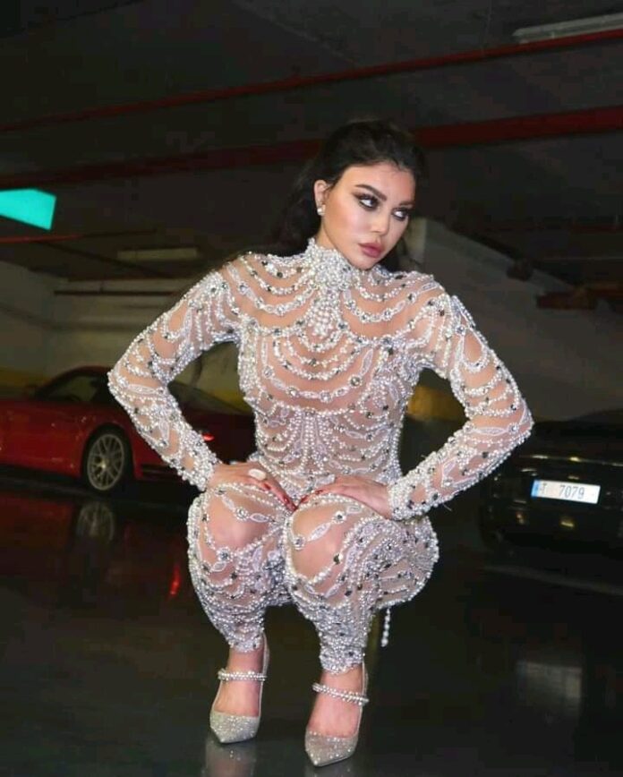 Haifa Wehbe grabs attention with a revealing Western outfit in a ...